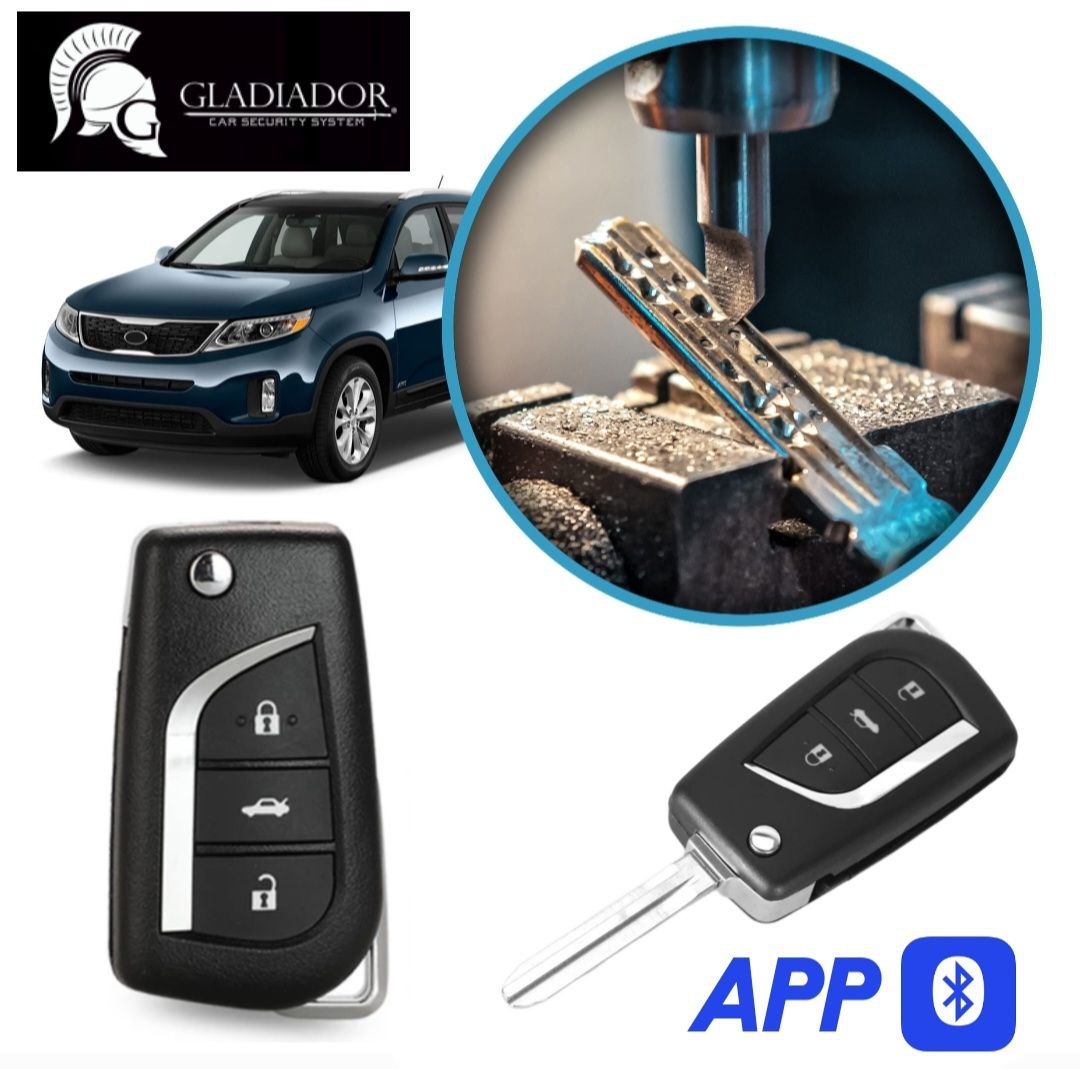 Alarma Sencilla con Llave Integrada y App Bluetooth ACGD-506 - PROTEC ...